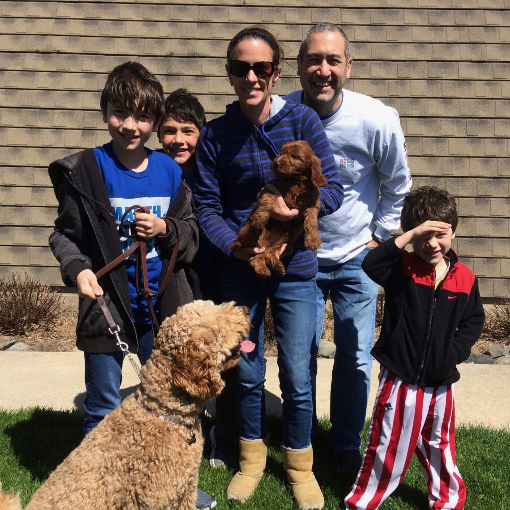 Bringing Home a New Puppy | The Ultimate Guide - Sunshine Acres